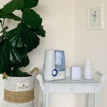 Oil Diffuser Vs. Humidifier Key Differences - Keeper of our Home