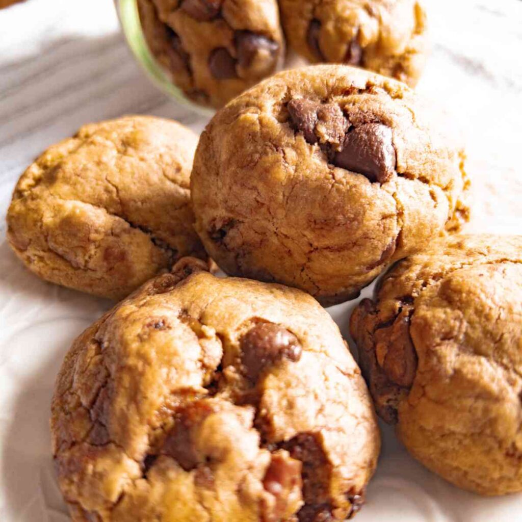 How to Best Store Kombucha Scoby - Keeper of our Home